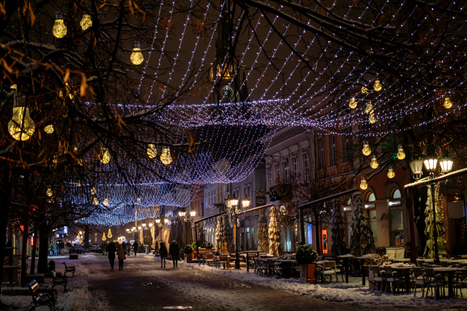 Novi Sad Winter Land (Zimzolend) | 2026 Dates, Locations & Must-Knows ...